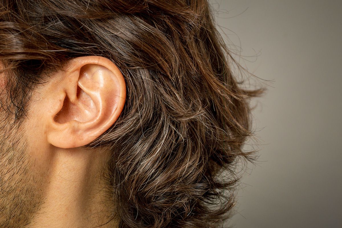 The outer ear: anatomy, function, and common conditions | Miracle-Ear