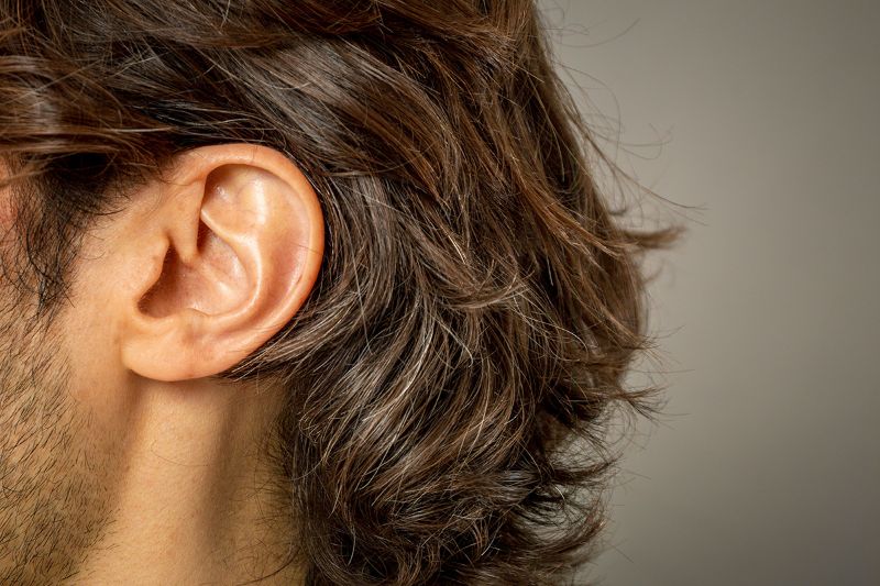 The outer ear: anatomy, function, and common conditions | Miracle-Ear
