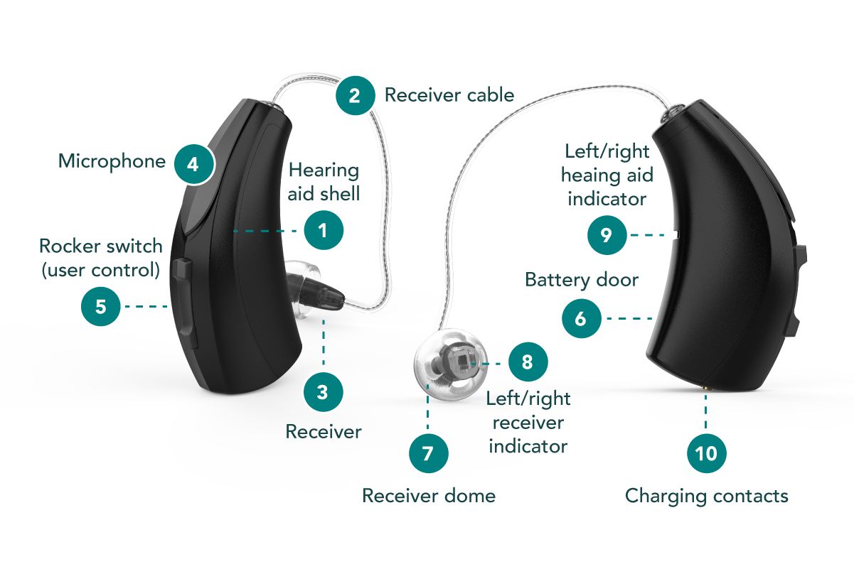 What are the parts of a hearing aid? | Miracle-Ear