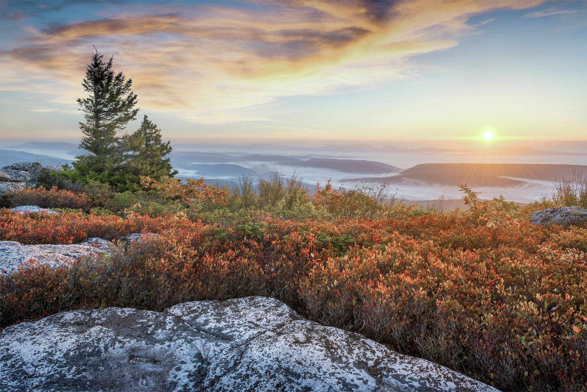 West Virginia Hearing Centers: Hearing Aids | Miracle-Ear