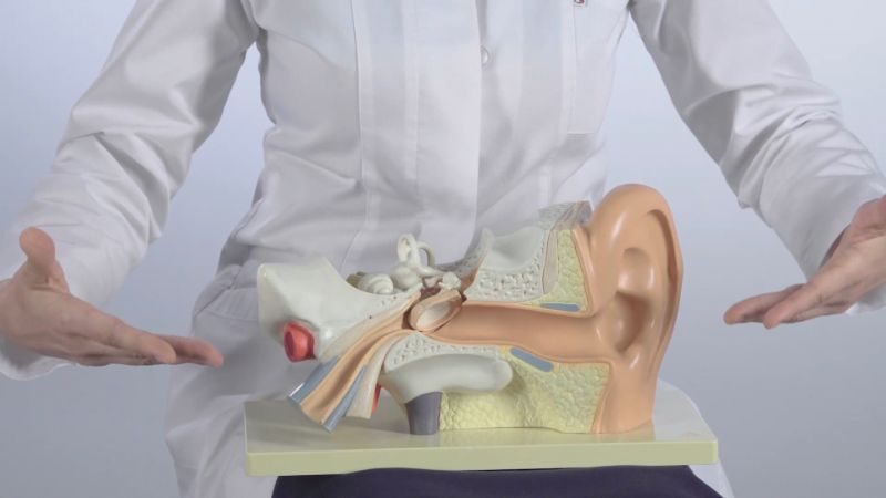 Blood in ear: Why is my ear bleeding? | Miracle-Ear